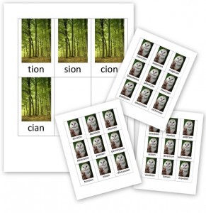 tion, sion, cion, cian Word Sort - Homeschool Den