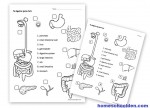 Digestive System Worksheets - 150+page Packet - Homeschool Den
