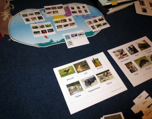 Various Free Montessori 3-Part Cards - Homeschool Den