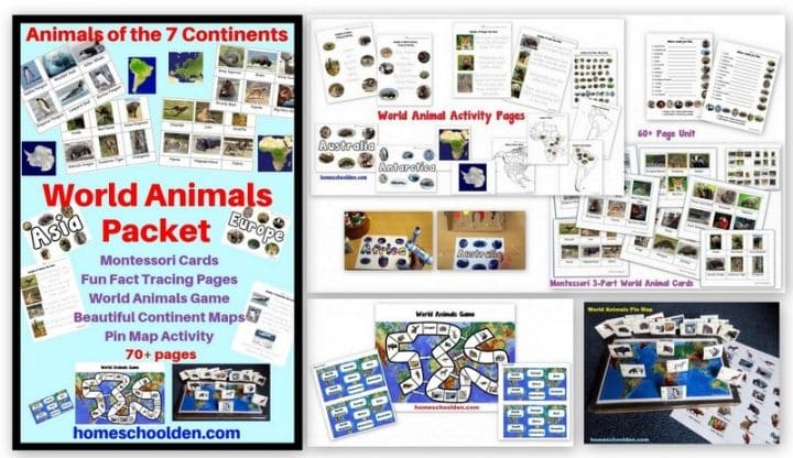 World Animal Packet (100+ pages) - Homeschool Den