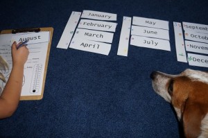 Free Daily Calendar Page + Math Lapbook Activities - Homeschool Den