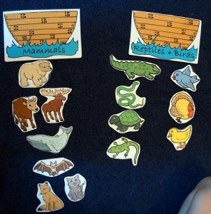 Kindergarten Science - Classifying Animals - Homeschool Den