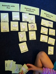 Kindergarten Science - Classifying Animals - Homeschool Den