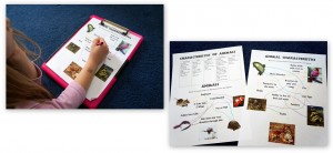 Animals and Their Characteristics (Free Worksheet) - Homeschool Den