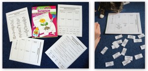 Animals and Their Characteristics (Free Worksheet) - Homeschool Den