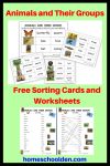 Animals and Their Groups Sorting Cards (ages 5-8) - Homeschool Den