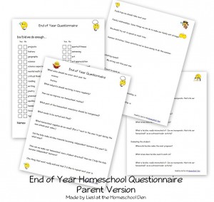 End of Year Homeschool Questionnaire (Parent Reflection Questions ...