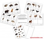 Animal Unit - Feather, Fur, Scales or Skin Pages (100+ page Animal ...