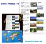 Plants of the Rain Forest Activity: with Free Rain Forest Plant Cards ...