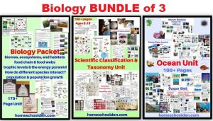 Botany Unit - Plant Kingdom Worksheets and more! - Homeschool Den