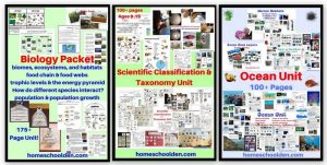 FREE Homeschool Conference Handouts - Homeschool Den