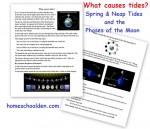 Ocean Unit Packet: Marine Habitats, Tides, Currents, Ocean Floor, Ocean ...