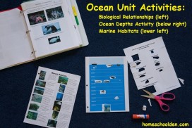 Bioluminescence - and Ocean Zones: Ocean Unit Activities - Homeschool Den