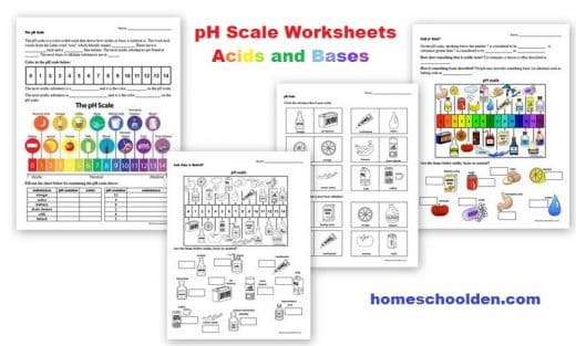 States of Matter: Hands-On Activities about Liquids - Homeschool Den
