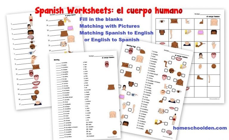 Free Spanish Worksheet: Parts of the Body - El Cuerpo - Homeschool Den