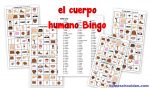 Free Spanish Worksheet: Parts of the Body - El Cuerpo - Homeschool Den
