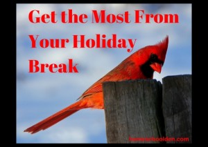 Get the Most From Your Holiday Break - Homeschool Den