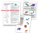 Free Astronomy Worksheets - Middle School - Homeschool Den