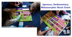 Rocks and the Rock Cycle: Sedimentary, Metamorphic and Igneous Rock ...