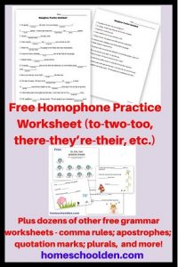 Free Homophone Practice Worksheet (to-two-too, there-they're-their, etc ...