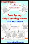 Spring Skip Counting Mazes - 2s 3s 4s 5s 10s (Free!) - Homeschool Den