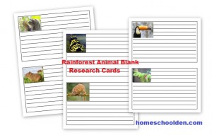 Rainforest Unit: 75+ Page Packet - Homeschool Den