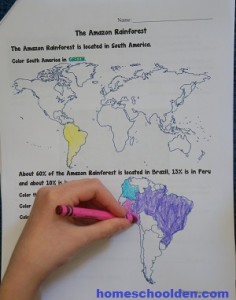 Rainforest Unit: 75+ Page Packet - Homeschool Den