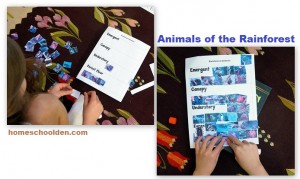 Rainforest Unit: 75+ Page Packet - Homeschool Den