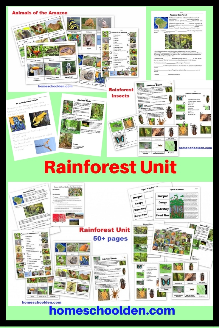 Rainforest Unit - Homeschool Den