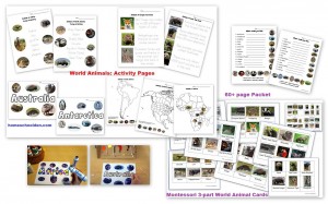 Rainforest Resources and Printables - Homeschool Den