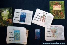 Rainforest Unit: 75+ Page Packet - Homeschool Den
