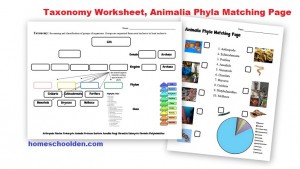 Scientific Classification and Taxonomy Worksheets and Labs - Homeschool Den