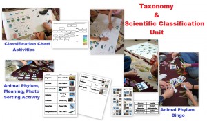 Scientific Classification and Taxonomy Worksheets and Labs - Homeschool Den