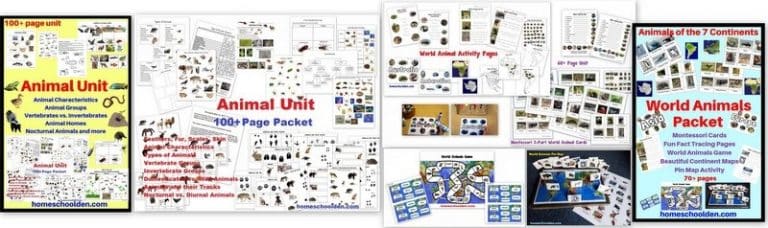 Animals Around the World (World Animal Packet) - Homeschool Den