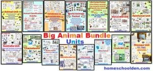 Big Animal Bundle - Homeschool Den