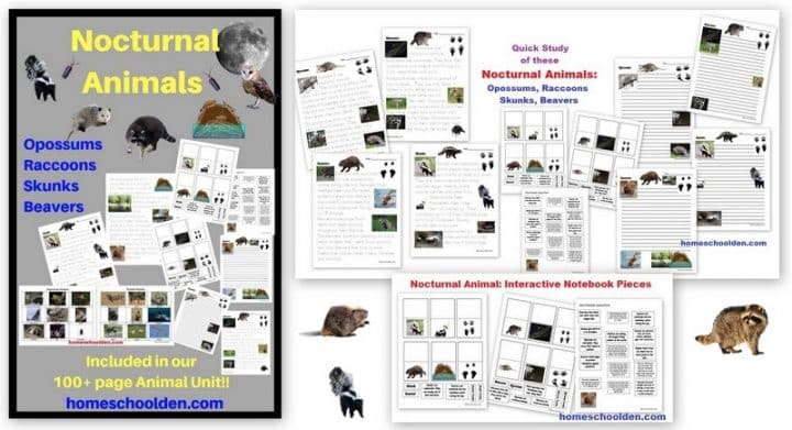 Big Animal Bundle - Homeschool Den