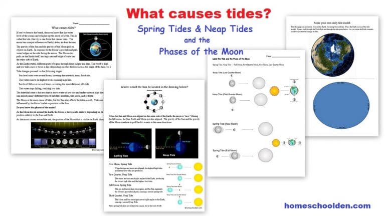 Ocean Unit Packet: Marine Habitats, Tides, Currents, Ocean Floor, Ocean ...