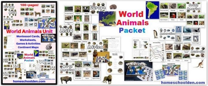 World Animals Activities (Montessori Cards, Board Game, Pin Map ...