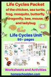 Life Cycles Packet (50+ pages) - Homeschool Den