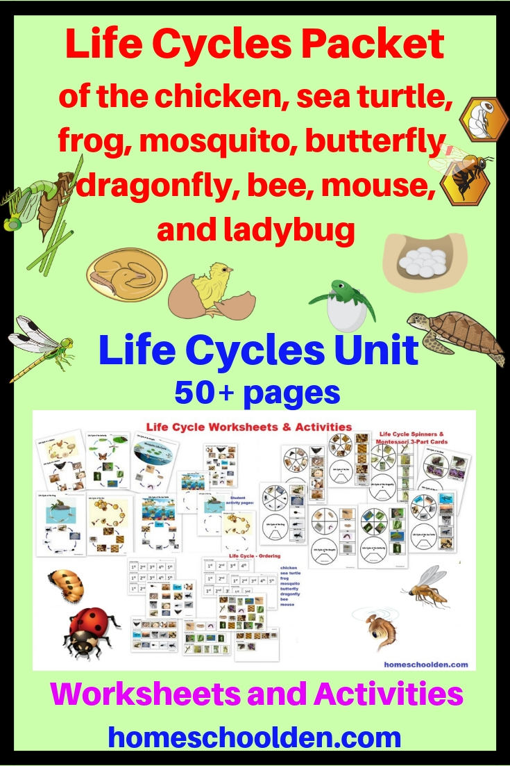 Life Cycles Packet (50+ pages) - Homeschool Den