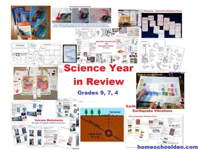Homeschool Science Year in Review (Grades 9, 7, 4) - Homeschool Den
