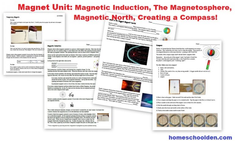 Magnetism Unit on Magnetic Fields, the Magnetosphere, and Animal ...