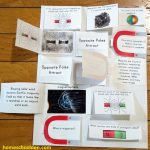 Magnetism Unit on Magnetic Fields, the Magnetosphere, and Animal ...