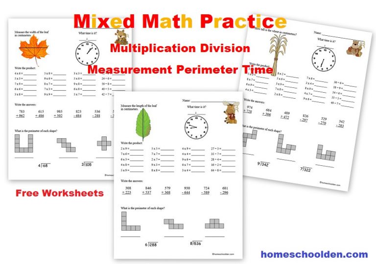 Free Mixed Math Practice Sheets - Multiplication Division Measurement ...