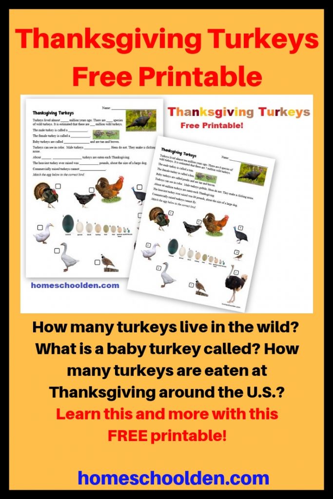 Thanksgiving Turkeys - Free Printable! - Homeschool Den