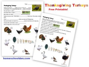 Thanksgiving Turkeys - Free Printable! - Homeschool Den