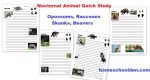 Nocturnal Animal Quick Study - Opossums, Raccoons, Skunks, Beavers ...
