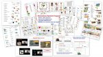 Spanish Human Body Worksheets & Activities - el cuerpo humano ...