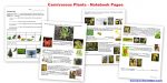 Botany Unit - Plant Kingdom Worksheets and more! - Homeschool Den