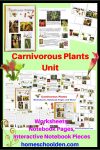 Carnivorous Plants Unit - Homeschool Den